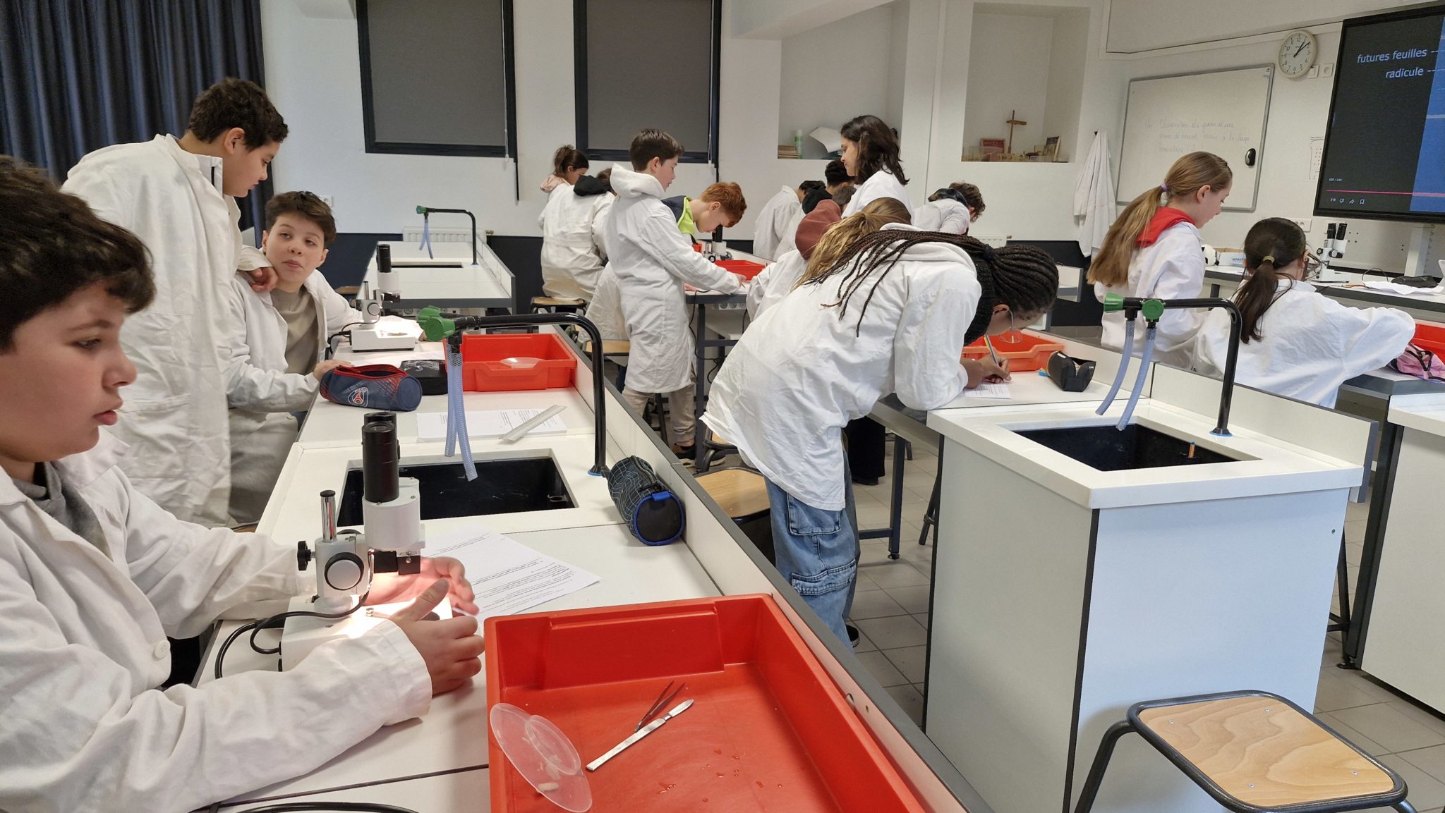 Collège | Établissement Saint-Charles Athis-Mons